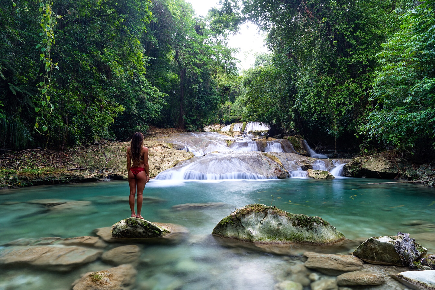 Swim — Eryn Krouse