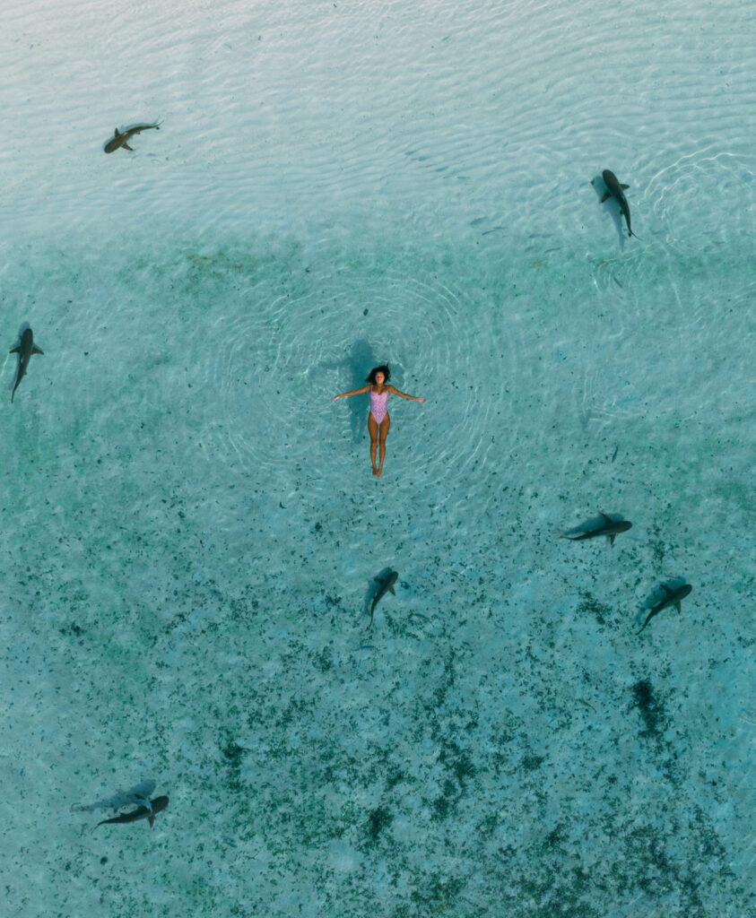 About — Eryn Krouse